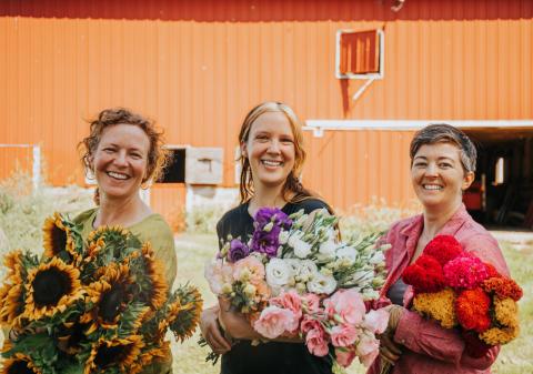 Exploring Delight Flower Farm